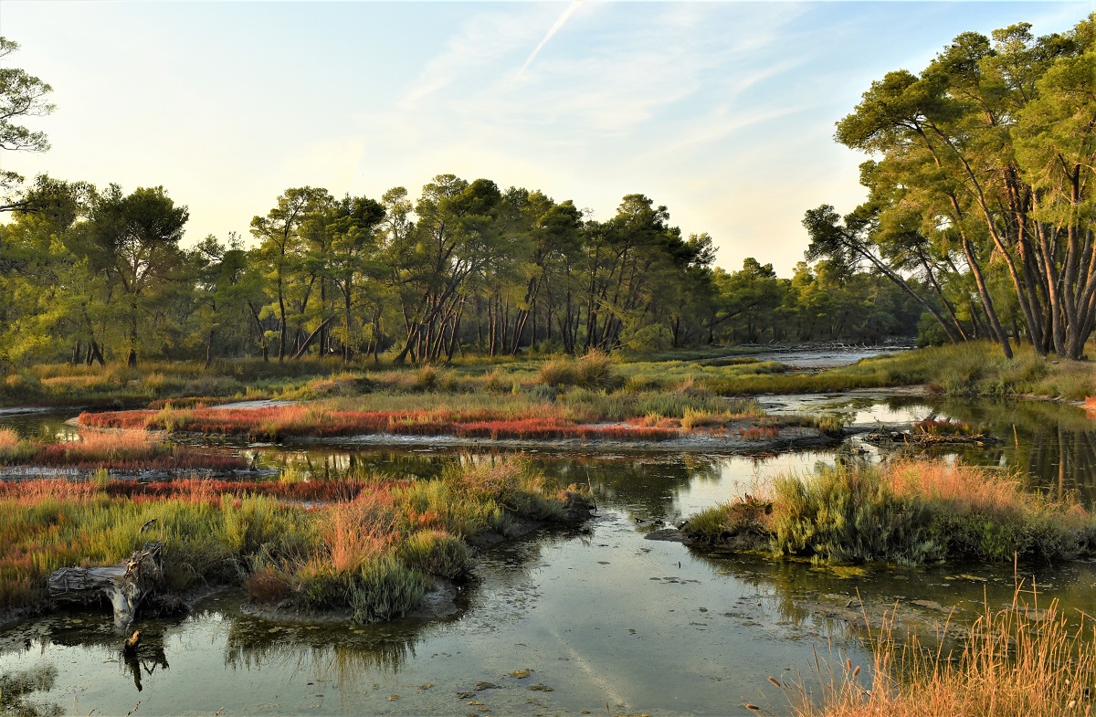 Albánská Divjaka - přírodní ráj | Delfín Travel