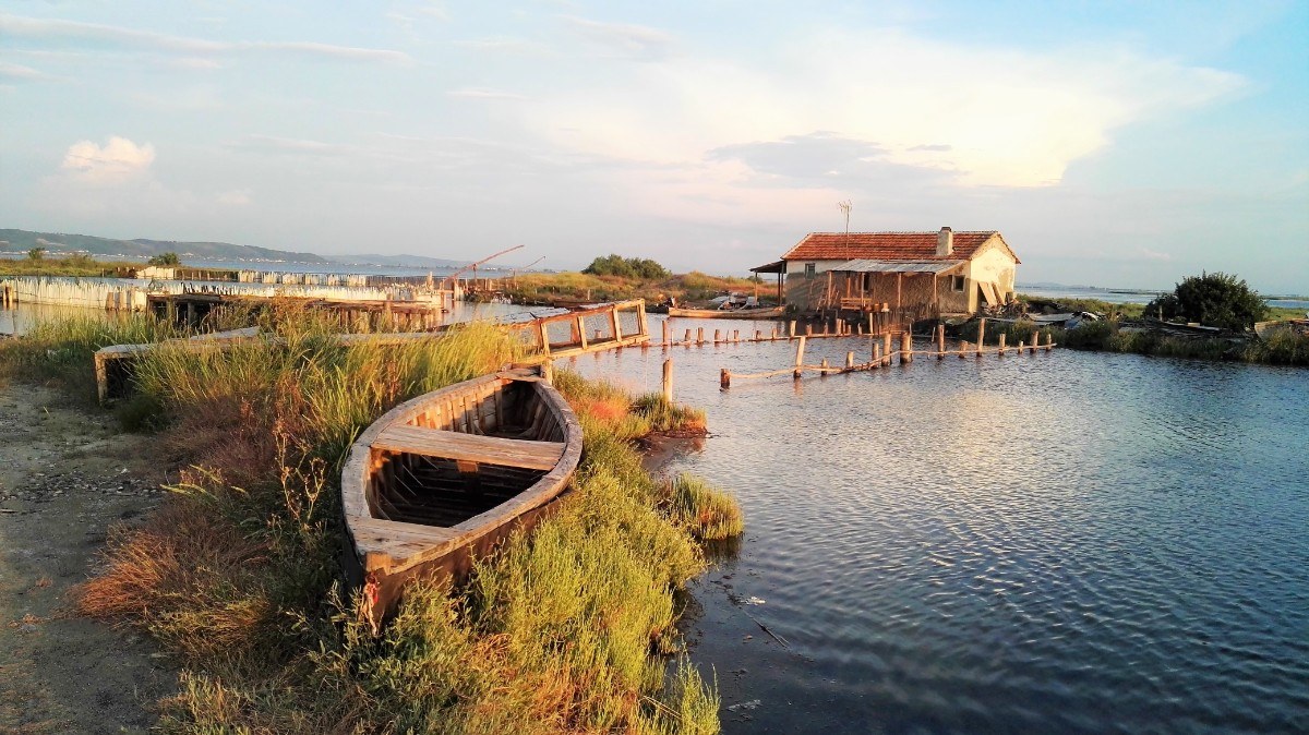 NÁRODNÍ PARK A PLÁŽ DIVJAKA | Delfín Travel