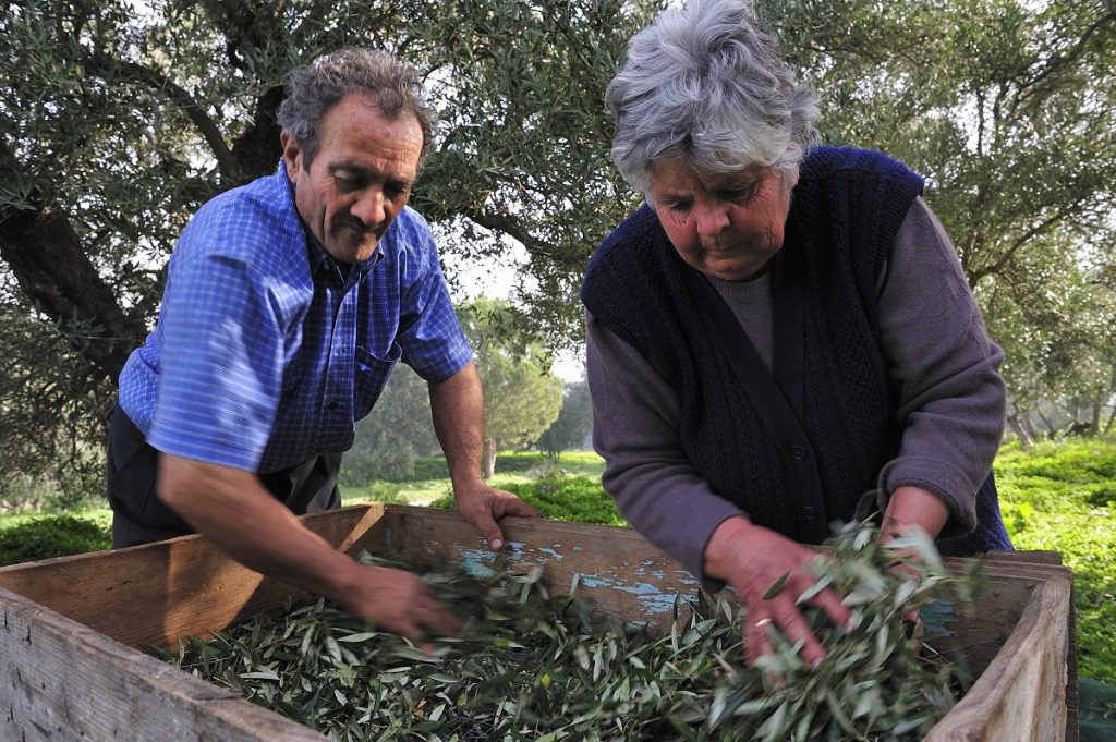 Kréta | Delfín Travel